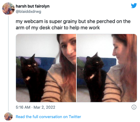 13 Common Webcam Problems and How to Fix Them - Fineshare