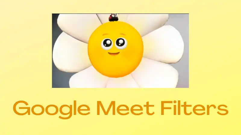 2 Easy Ways to Use Google Meet Filters 2023 - FineShare